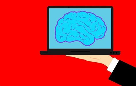Researchers Create AI Based Brain Age Prediction Model Unite AI