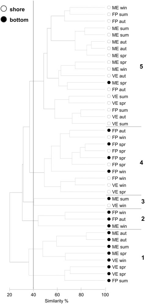 Dendrogram Showing The Hierarchical Clustering Group Average Linking Download Scientific