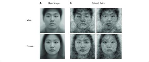 A Base Images And B Examples Of Stimuli Pairs Used In The Reverse Download Scientific