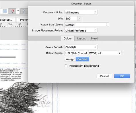 Linked Vs Embedded Archive Publisher Beta On Macos Threads Affinity Forum