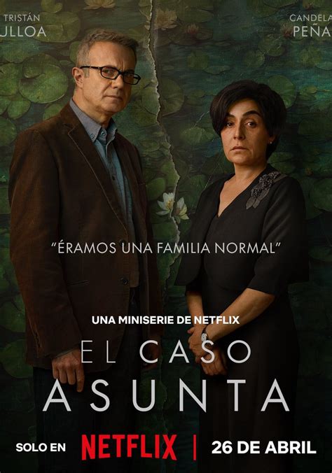 The Asunta Case - stream tv show online