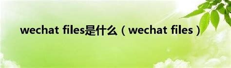 wechat files是什么（wechat files） 环球知识网