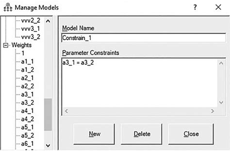 Full Vs Partial Metric Invariance How Do I Know Which Parameter To