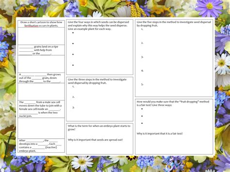 Ks3 Plant Fertilisation Seed Formation And Seed Dispersal Revision Mat Teaching Resources