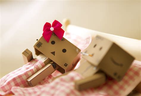 Danbo Cute 900x612 Wallpaper