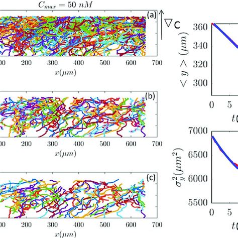 A Trajectories Of Three Different Experiments Recorded At The Same Download Scientific
