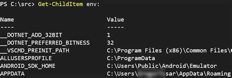 Windows Developer Powershell In Visual Studio Ignores Special Char In