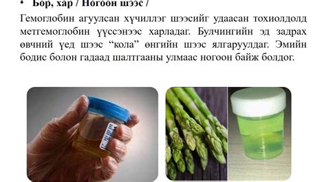 Шээсний шинжилгээ Идэрбаатар Батчулуун Youtube