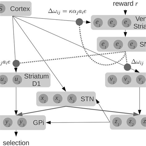 Our Spiking Model Of Reward Based Learning And Action Selection In Download Scientific