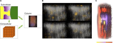 Scientific Data Visualization Using Open Source Tools Reconstructing
