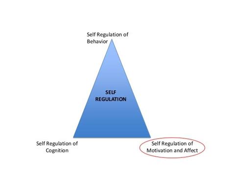 Self Regulation Theory And Strategies Self Regulation Self Regulators