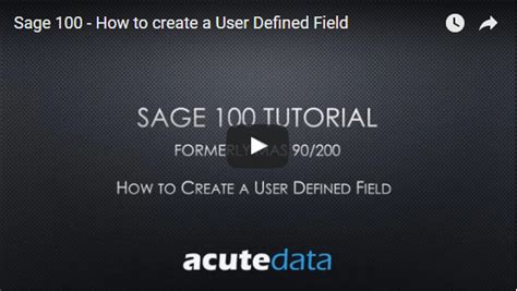 sage 100 how to create a custom field udf