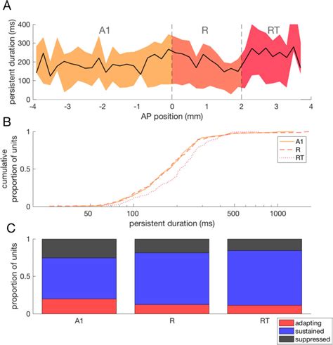 Post Stimulatory Activity In Primate Auditory Cortex Evoked By Sensory Stimulation During