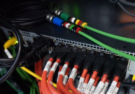 Close Up Of Network Cables Connected To Switch Stock Photo Image Of
