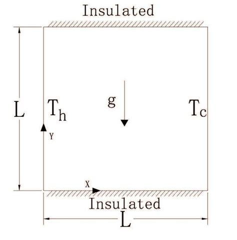 Physical Model Of Buoyancy Driven Cavity Flow Download Scientific