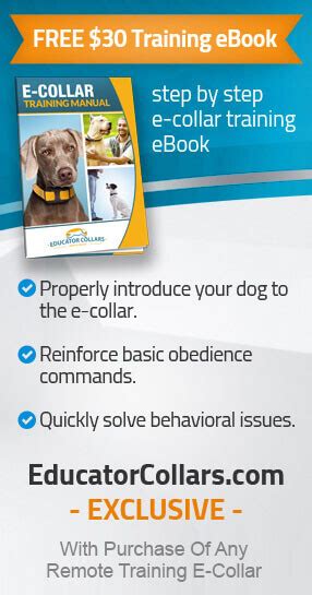 Educator Me 300 Micro E Collar Technologies