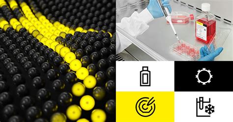 Bioprocessing Stemcells Cellculture Sartorius Bioprocess Solutions