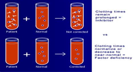 Lab Med And Diagnosis I Coagulation Testing Flashcards Quizlet