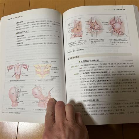 女性生殖器 成人基礎学 医学書院 メルカリ
