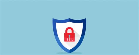 The Different Types Of SSL Certificates Indusface Blog