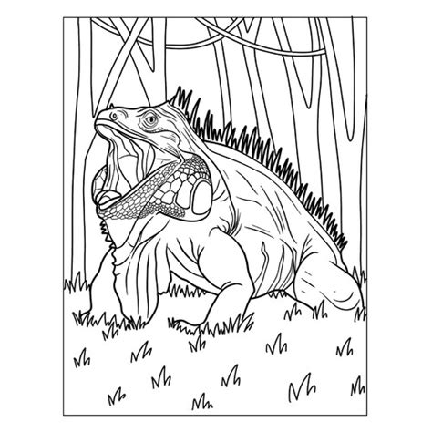 Раскраска Зелёная игуана распечатать раскраски для детей