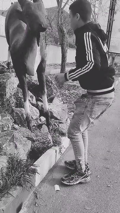 بلاگر تتلوپدرآراندبیایران ویدیو تیکتاک تیکتاکرقص Youtube