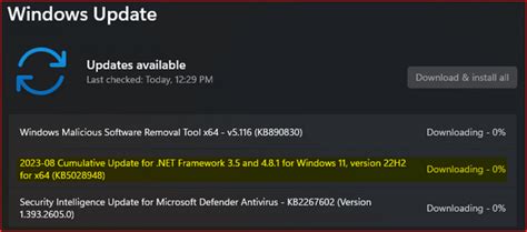 Kb5028948 Cumulative Update Net Framework 3 5 And 4 8 1 22h2 Windows 11 Forum