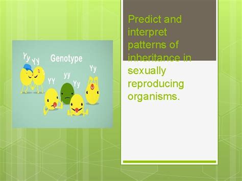 predict and interpret patterns of inheritance in sexually