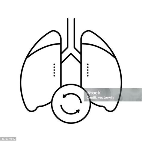 폐 이식 라인 아이콘 벡터 일러스트레이션 건강관리와 의술에 대한 스톡 벡터 아트 및 기타 이미지 건강관리와 의술 구급차 미용술 Istock