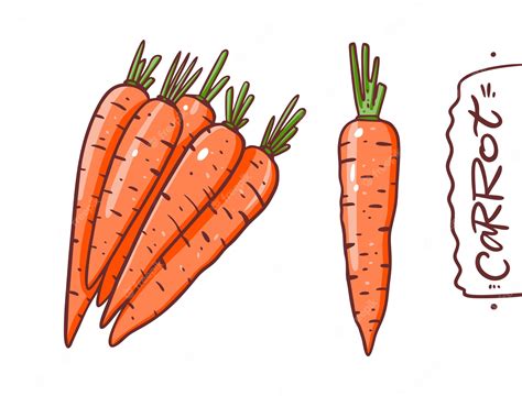 귀여운 당근 컬렉션 집합입니다 벡터 일러스트 레이 션 만화 스타일 흰색 배경에 고립 프리미엄 벡터