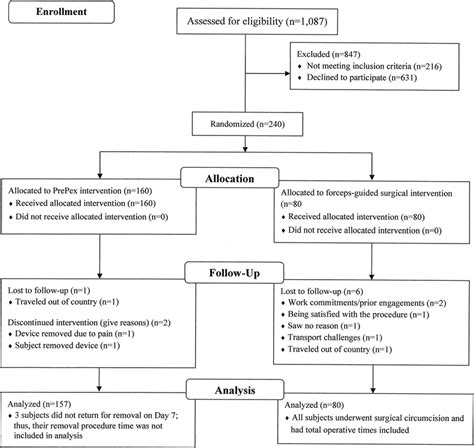 Flow Chart Summarizing The Screening And Enrollment Of The Male Download Scientific Diagram