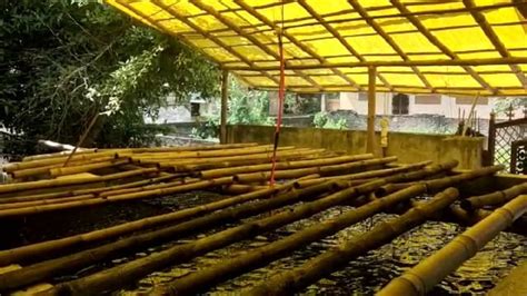 मोती की खेती से तगड़ा मुनाफा कमा रहा बिहार का ये It प्रोफेशनल जानें