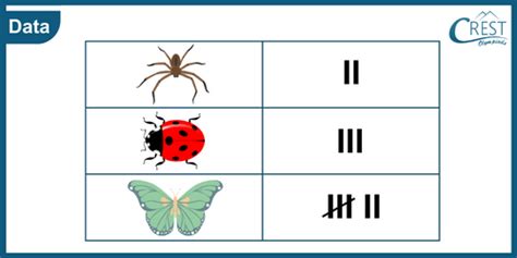 Data Handling Class 8 Notes Maths Olympiad