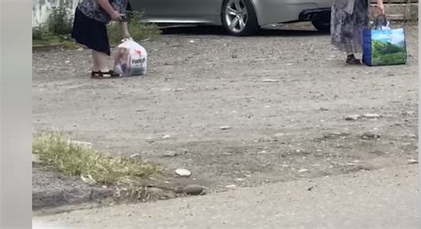 ზესტაფონში ამანათები დაარიგეს — ამომრჩევლის მოსყიდვა თუ ჰუმანიტარული დახმარება Netgazeti