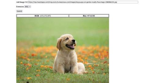 Entry 10 By Rahulbisht28 For Pixel Color Detection Freelancer