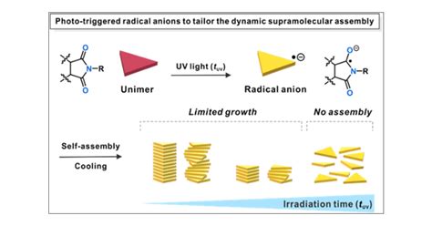 Tailoring Dynamic Chiral Supramolecular Assembly With Phototriggered Radical Anions Of C3