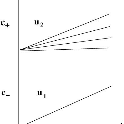 Data For The Riemann Problem Download Scientific Diagram