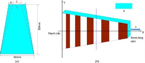 Figure 1 From Tailorable Elastomeric Grating With Tunable Groove Density Gradient Semantic Scholar