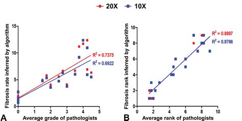 Implementation And Practice Of Deep Learning Based Instance Segmentation Algorithm For
