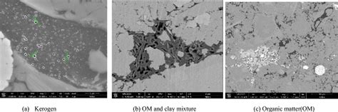FIB SEM Images Of The Samples Download Scientific Diagram