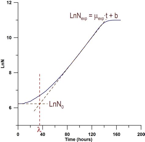Bacterial Cultures — Discrete Modelling And Simulation Of Biological Systems Mosimbio — Upc