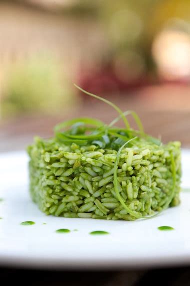 Guia Completo Saiba Tudo Sobre Salsa E Cebolinha Cheiro Verde Estadão