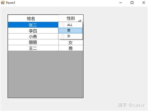 c 简易实现winform的datagridview的筛选 知乎