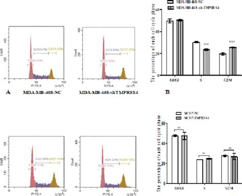 Role Of Tmprss4 Modulation In Breast Cancer Cell Proliferation Pmc