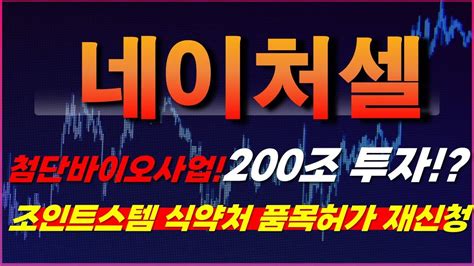 네이처셀 주가전망 첨단바이오사업 200조 투자 조인트스템 식약처 품목허가 재신청 Youtube