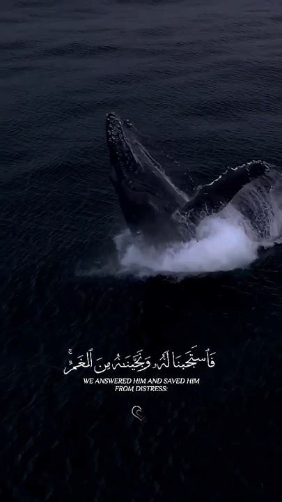 فَٱسْتَجَبْنَا لَهُۥ وَنَجَّيْنَٰهُ مِنَ ٱلْغَمِّ ۚ وَكَذَٰلِكَ نُۨجِى ٱلْمُؤْمِنِينَ … 🩶 Youtube