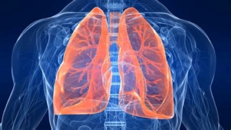 გაიწმინდეთ ფილტვები 3 დღეში Metronome Ge