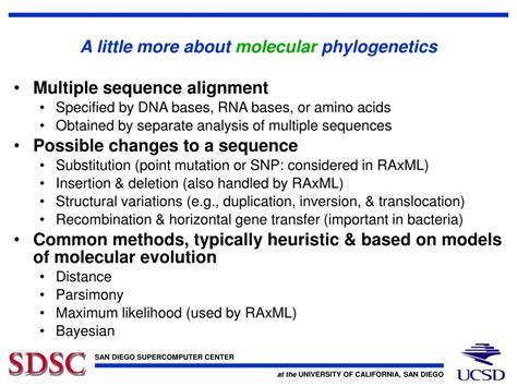 Ppt Hybrid Mpipthreads Parallelization Of The Raxml Phylogenetics Code Powerpoint