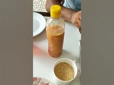 O Bodó Conhecido Como Acari Ou Cascudo Peixe Da Região Amazônica