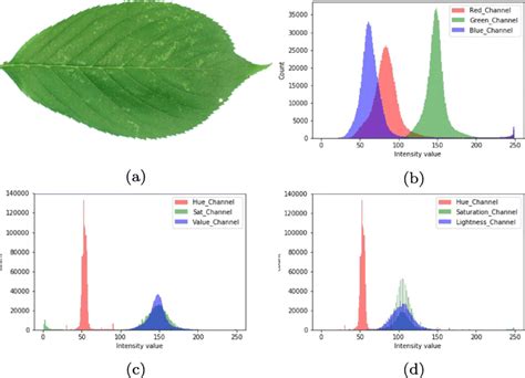 A Leaf Sample B Rgb Histogram C Hsv Histogram D Hsl Histogram